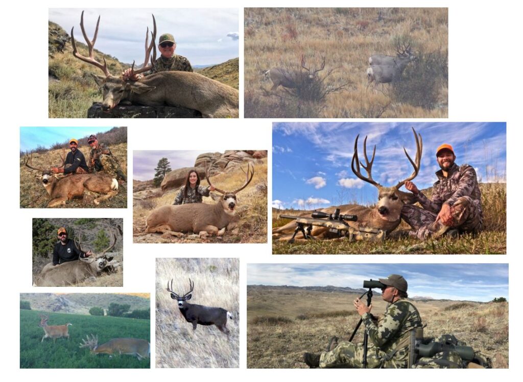 Wyoming Mule Deer Hunting & Whitetail Deer Hunting | The Cross C Ranch ...