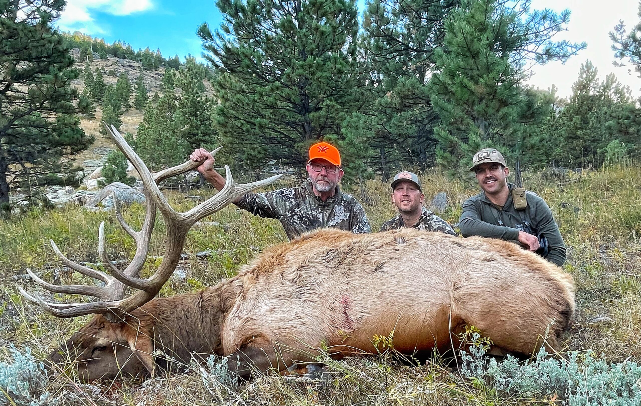 Wyoming Elk Hunting | The Cross C Ranch | Wyoming Outfitter, Wyoming ...